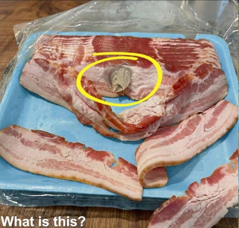 Easy Kitchen Food Safety Guide: What That Strange Bacon Chunk Really ...